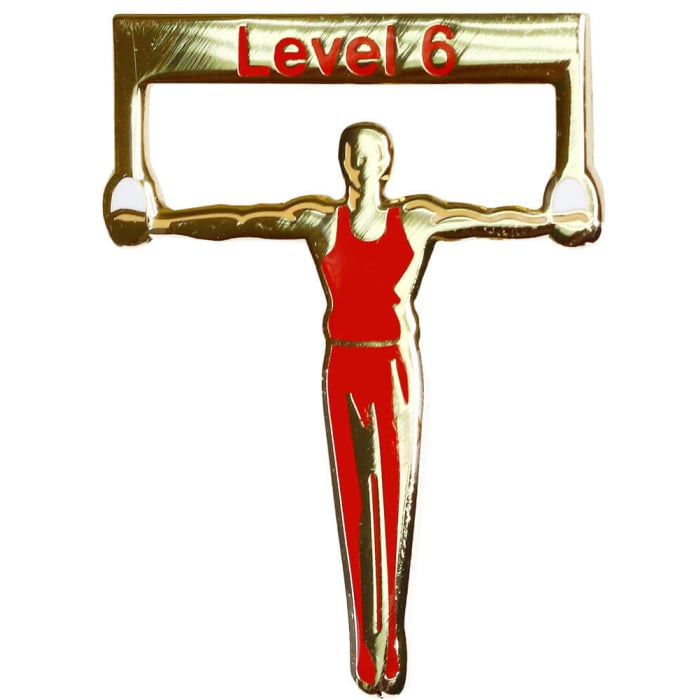 Men's Gymnastics Pin - Level 6 - 1116