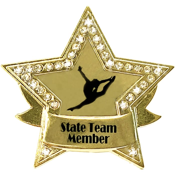 Gymnastics Pin-State Team Member | Womens Gymnastics Pin | 1221
