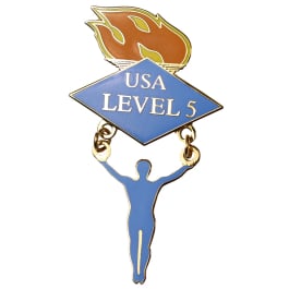 Level 5 Men's Gymnastics Pin - 1535