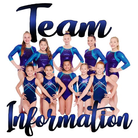Gymnastics Leotards - Snowflake Designs